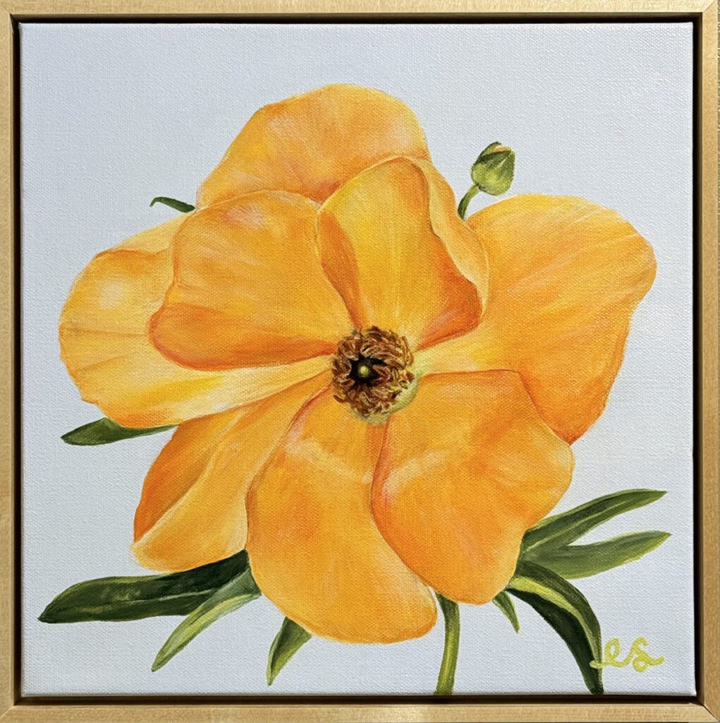Tangerine Butterfly Ranunculus-Ellen Schaefer | LibertyTown Arts Workshop