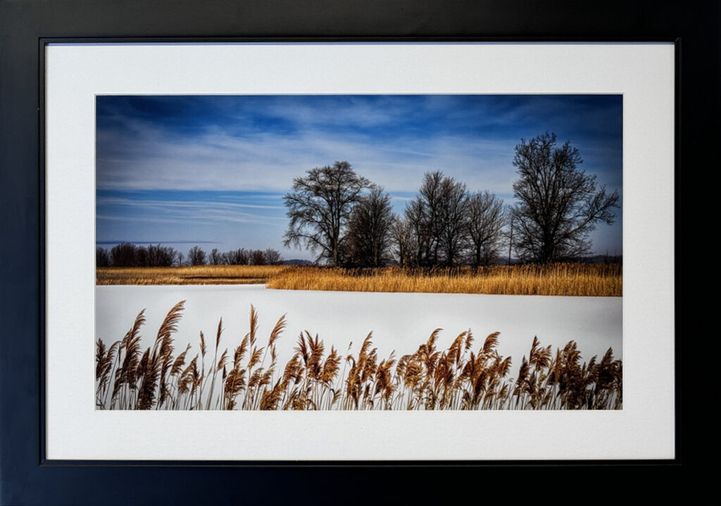 Winter Wetlands-C Renee Martin | LibertyTown Arts Workshop